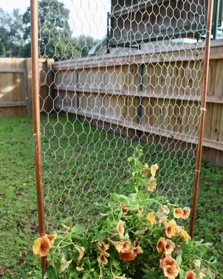 The Role of Wire Mesh in Gardening | Gerard Daniel