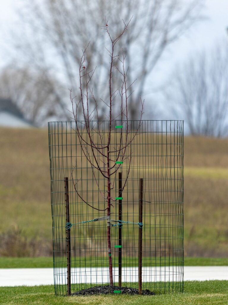 Using Wire Mesh for Effective Pest Control | Gerard Daniel